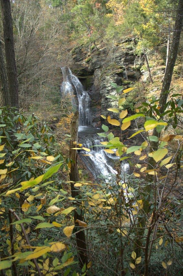 Distant Waterfall Shot through Leaves Stock Photo - Image of river ...