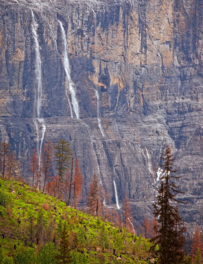 Distant Waterfalls on a Cliff with Trees in the Foreground Stock Image ...