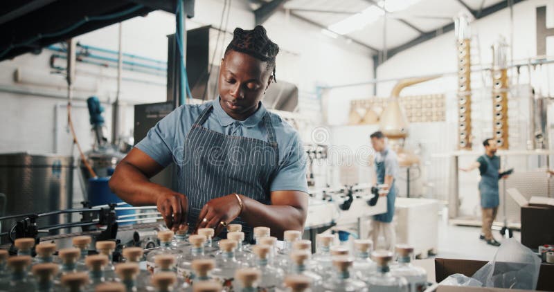 Distillery, Man and Sealing Bottle on Conveyor Belt for Alcohol ...