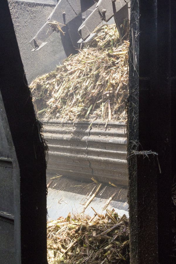 Distillery of rum process stock image. Image of island - 90863173