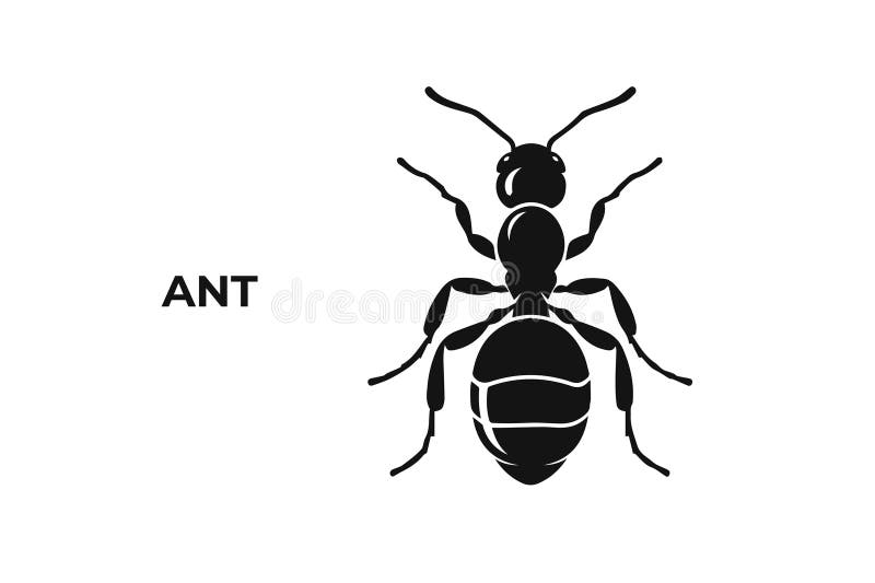 A Distinct Ant Silhouette for Multi-Format Designs. Vector Illustration ...
