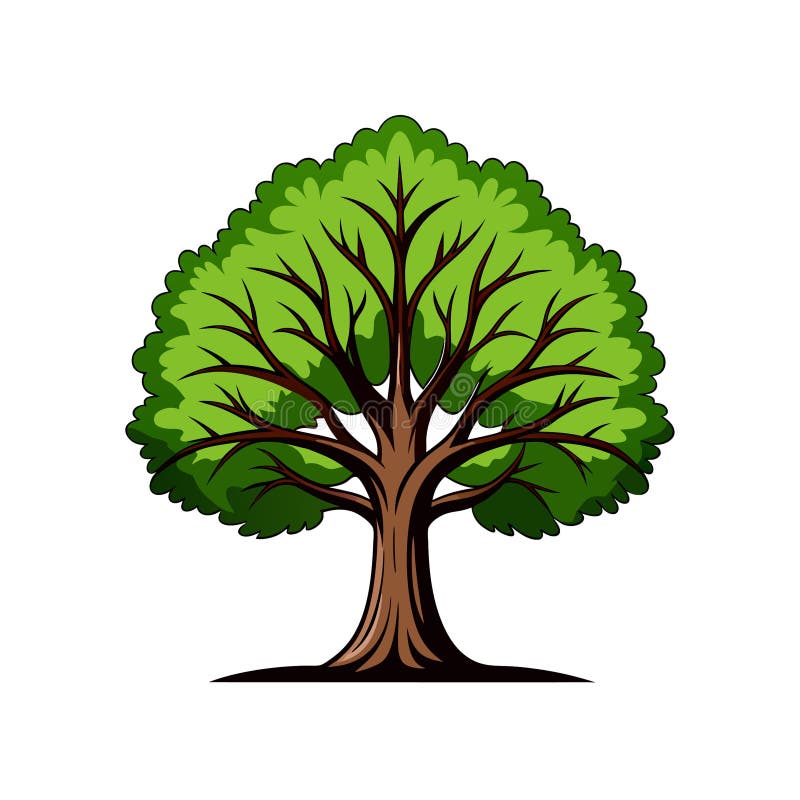Walnut Tree Outline Stock Illustrations – 1,087 Walnut Tree Outline ...