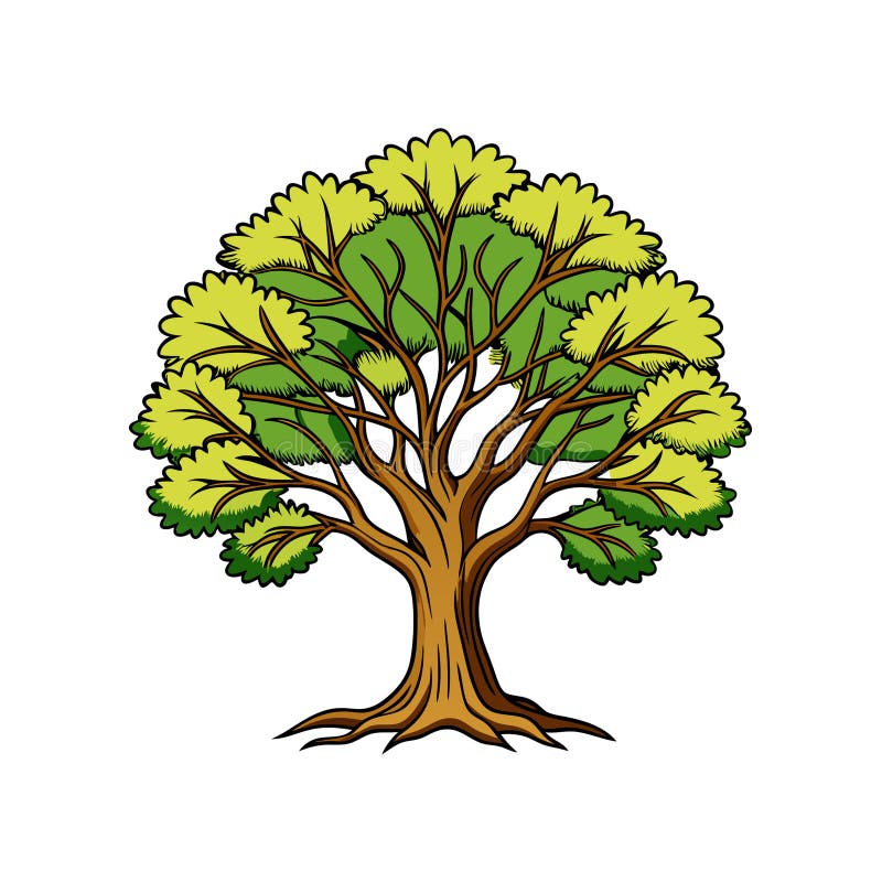 Distinct Box Elder Tree Design with Strong Outline Stock Illustration ...
