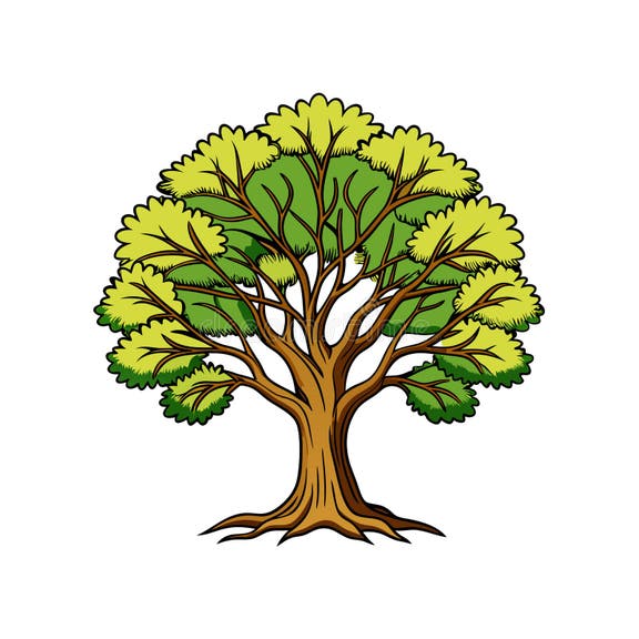 Distinct Box Elder Tree Design with Strong Outline Stock Illustration ...