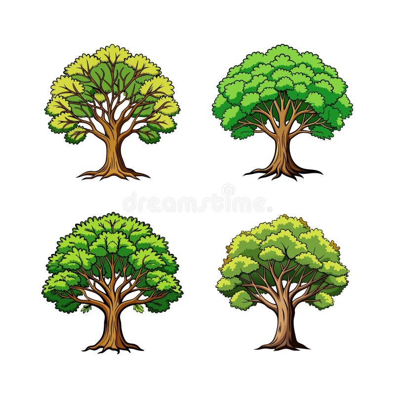 Distinct Box Elder Tree Design with Strong Outline Stock Vector ...