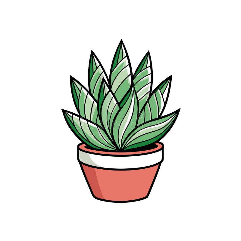 Epithelantha Cactus Art Stock Illustrations – 14 Epithelantha Cactus ...