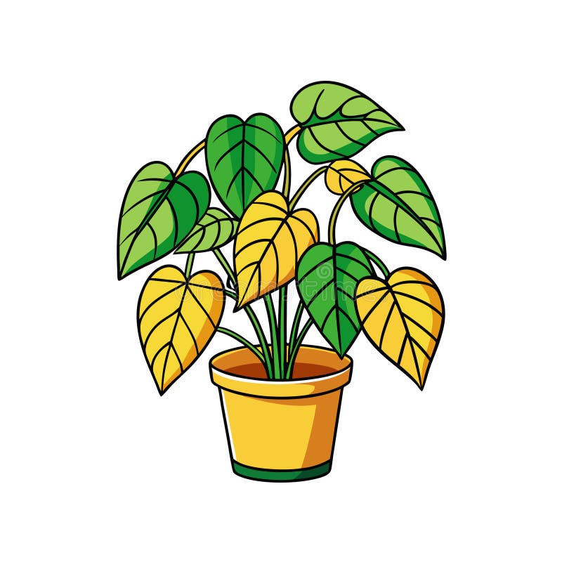 Distinctive Golden Pothos Art for Interiors Stock Illustration ...