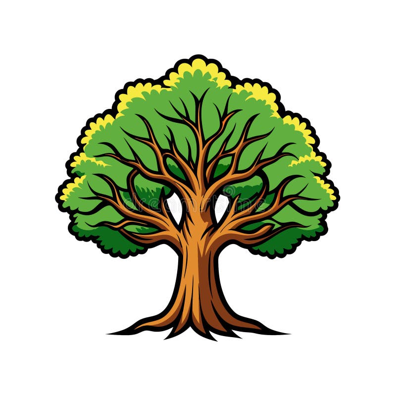 Distinctive Hickory Tree Illustration Art Stock Illustration ...