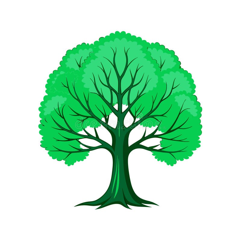 Distinctive Green Ash Tree Illustration Art Stock Illustration ...