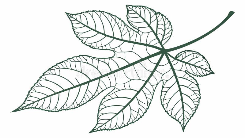Distinctive Multi-Lobed Leaf Vector Illustration, Vector Design ...