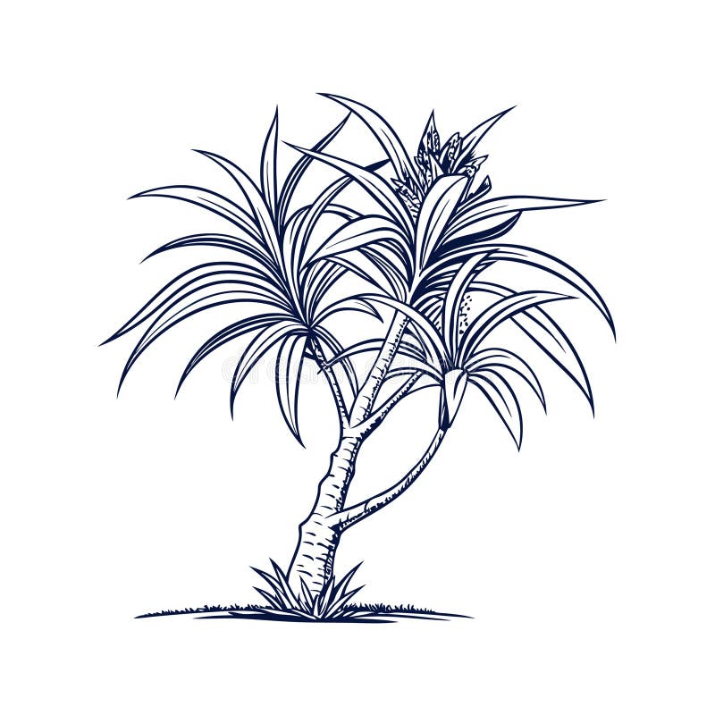Distinctive Pandanus Design for Interiors Stock Illustration ...