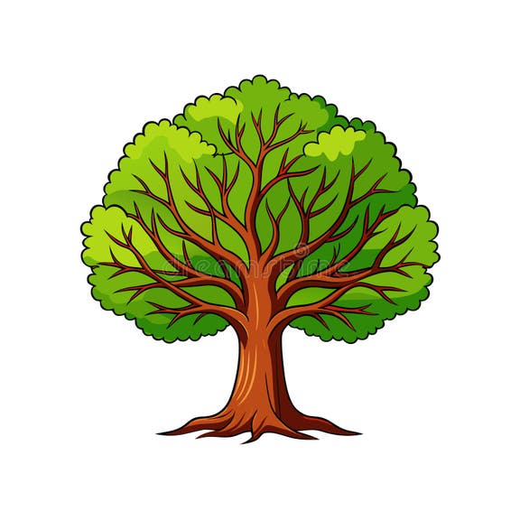 Distinctive Beech Tree Vector Illustration Stock Image - Illustration ...