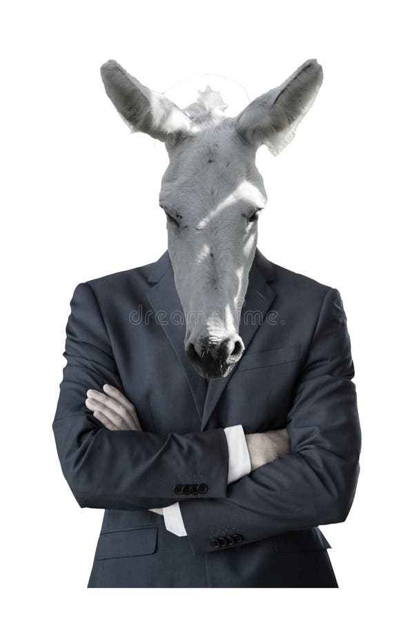Distinguished Person with Donkey Face- Stock Photo - Image of outdoors ...
