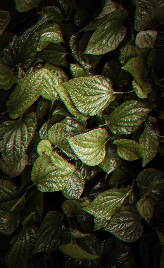 Distorted Green Plant Leaves Behind a Black Background Stock Image ...
