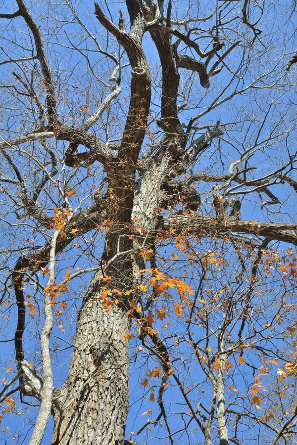 Distorted Three 5 Stock Photos - Free & Royalty-Free Stock Photos from ...