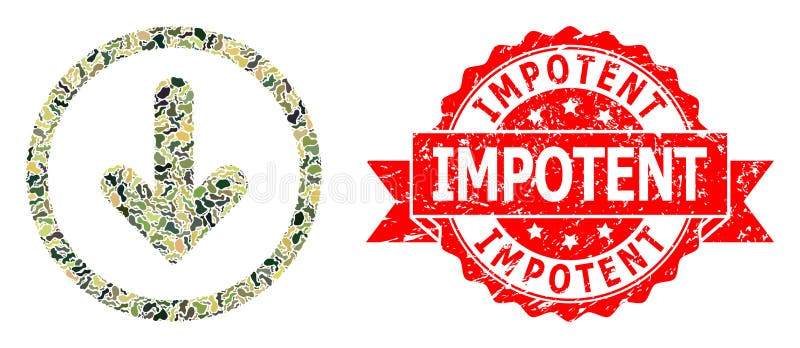 Distress Impotent Seal and Military Camouflage Composition of Down ...