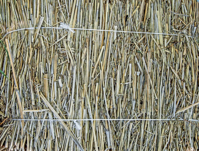 Distress Old Roof Tile Textures. Black and White Grunge Background ...