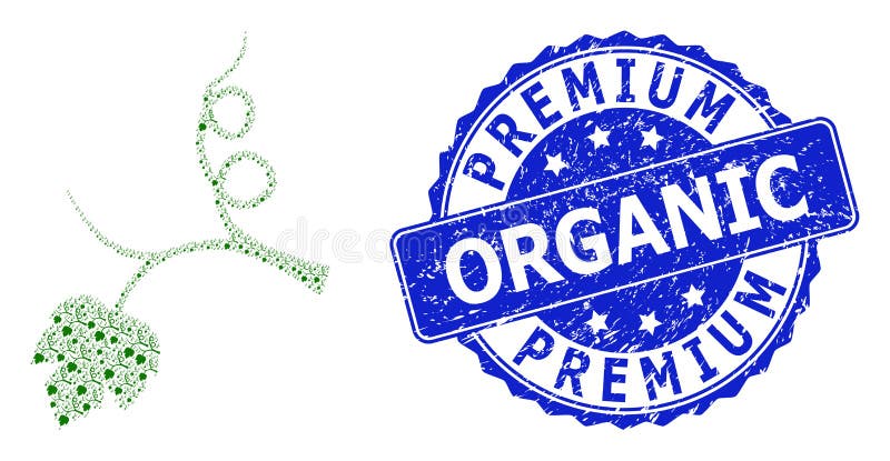 Organic And Genuine Product Premium Labels. Stock Vector - Illustration ...