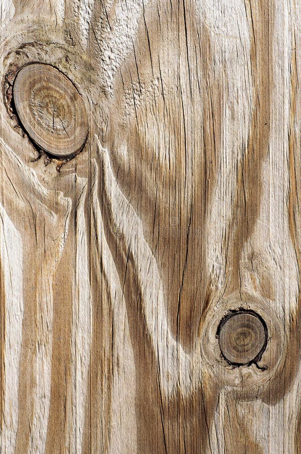 Distress Wooden Background stock photo. Image of pine - 69080738