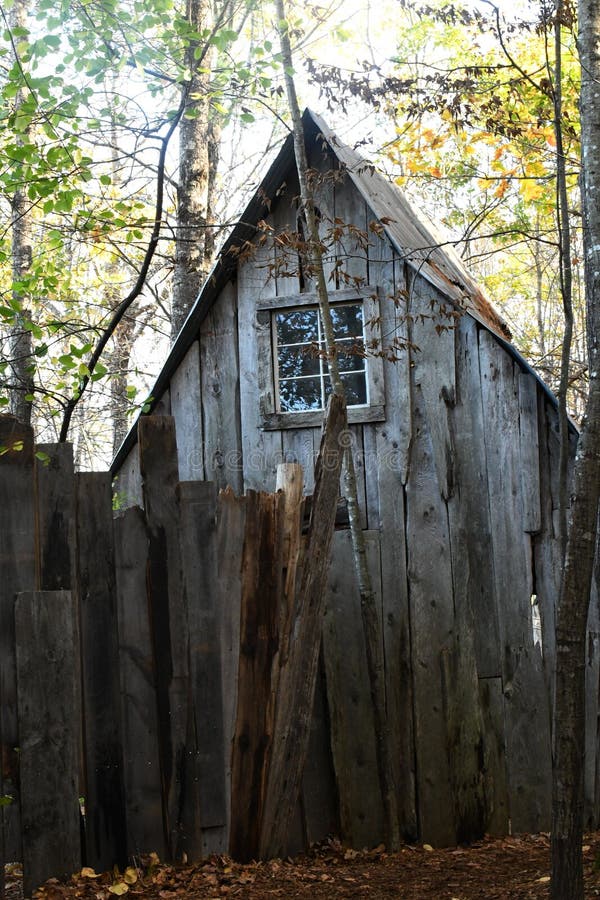 Distressed Barn stock image. Image of leaves, fall, bones - 236689851