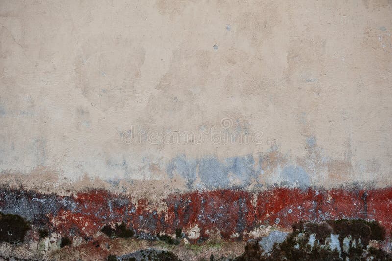 Distressed Grunge Texture Moldy Wall with Peeling Paint Stock Image ...
