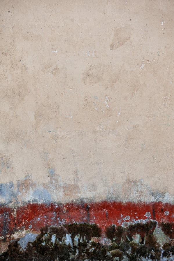 Distressed Grunge Texture Moldy Wall with Peeling Paint Stock Image ...