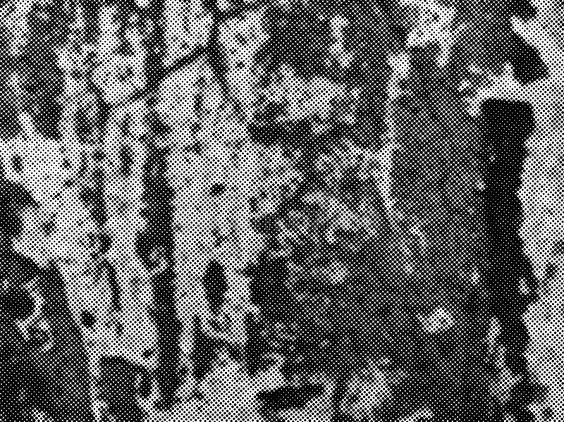 Distressed Halftone Grunge Black and White Vector Texture.Radial ...