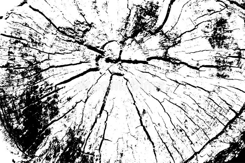 Distressed Halftone Grunge Vector Texture - Wood Trunk Scratch ...