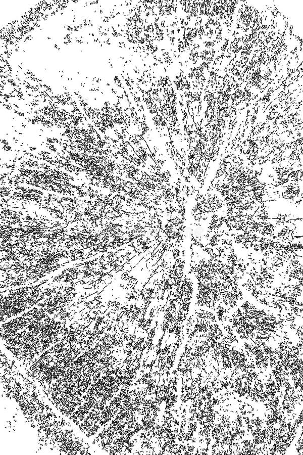 Distressed Halftone Grunge Vector Texture - Wood Trunk Scratch ...