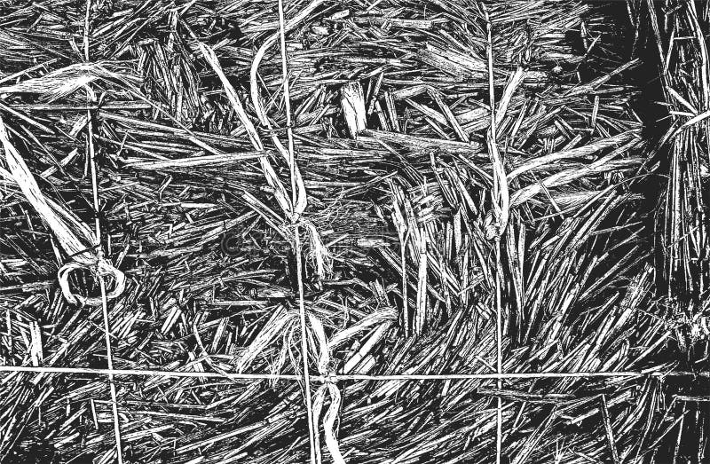 Distress Grass Stock Illustrations – 403 Distress Grass Stock ...