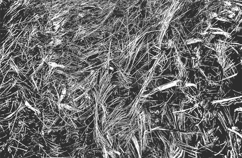 Distressed Overlay Grass Stem Texture on the Ground. Grunge Black and ...