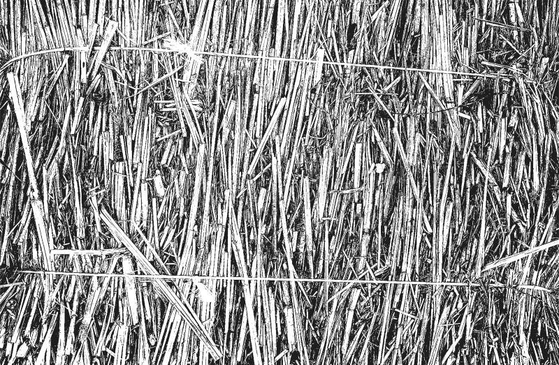 Distressed Overlay Grass Stem Texture on the Ground. Grunge Black and ...