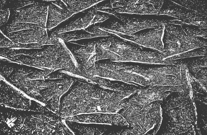 Distressed Overlay Pine Tree Roots Texture, Grunge Background Stock ...