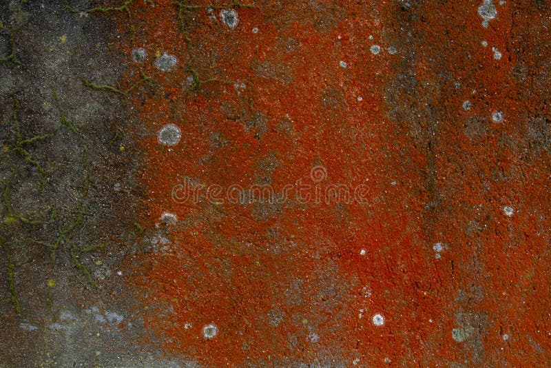 Distressed wall texture stock image. Image of grunge - 241745421