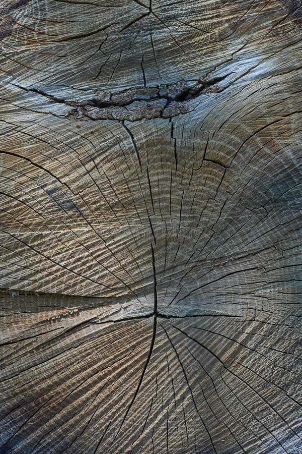 Distressed Weathered Wooden Texture Stock Photo - Image of backdrop ...