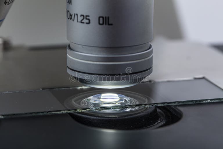 169 Oil Immersion Stock Photos - Free & Royalty-Free Stock Photos from ...