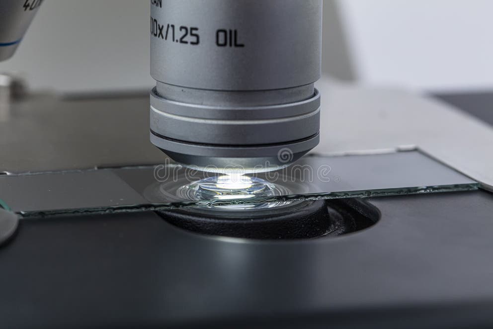 Distribution of Immersion Oil Under Light Microscope Objective Lens ...