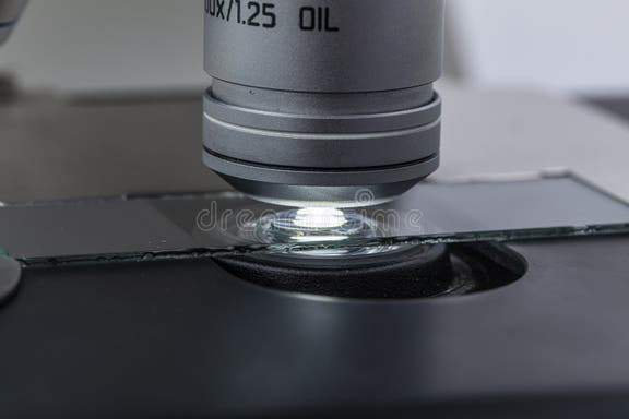 Distribution of Immersion Oil Under Light Microscope Objective Lens ...