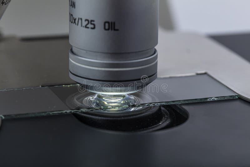 Distribution of Immersion Oil Under Light Microscope Objective Lens ...