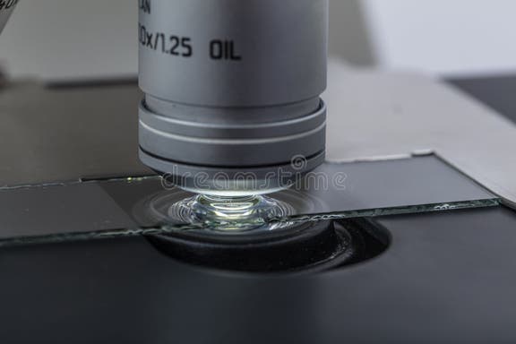 Distribution of Immersion Oil Under Light Microscope Objective Lens ...