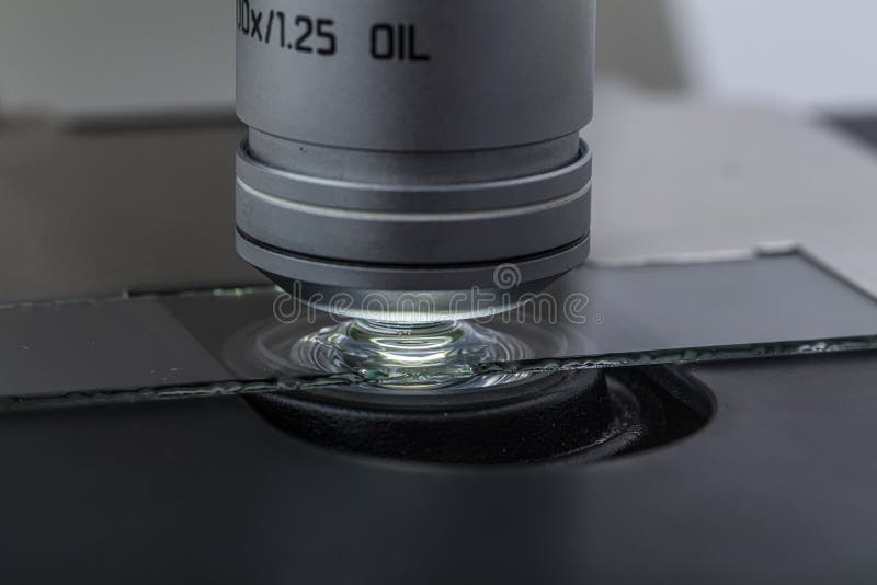 Distribution of Immersion Oil Under Light Microscope Objective Lens ...