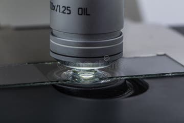 Distribution of Immersion Oil Under Light Microscope Objective Lens ...