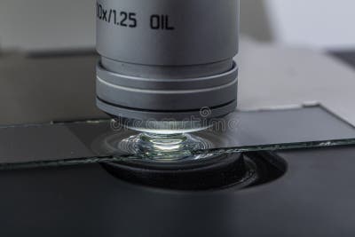 Distribution of Immersion Oil Under Light Microscope Objective Lens ...