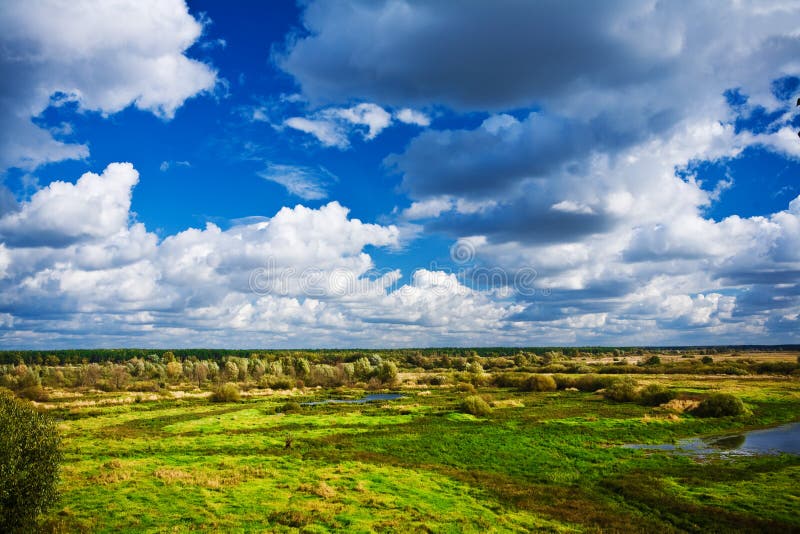 Districto pantanoso foto de archivo. Imagen de imagen - 13146244