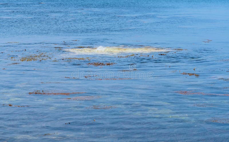 Disturbance Under Surface of Water Stock Image - Image of port, flowing ...