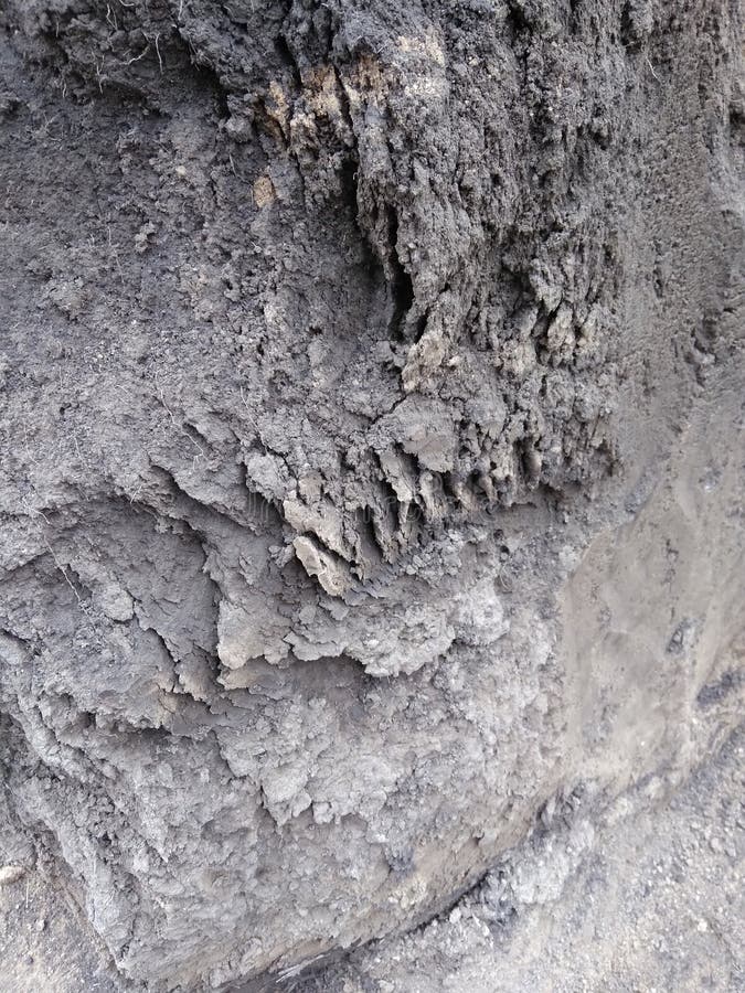 Disturbed Ground. Soil Texture Stock Photo - Image of dirt, texture ...
