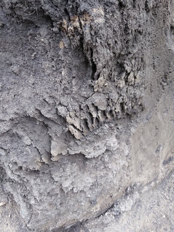 Disturbed Ground. Soil Texture Stock Photo - Image of dirt, texture ...