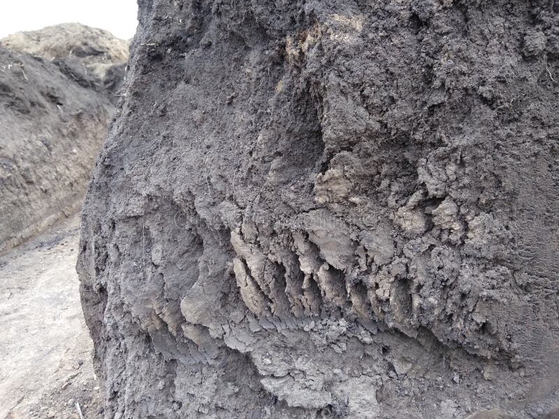 Disturbed Ground. Soil Texture Stock Photo - Image of brown, land ...