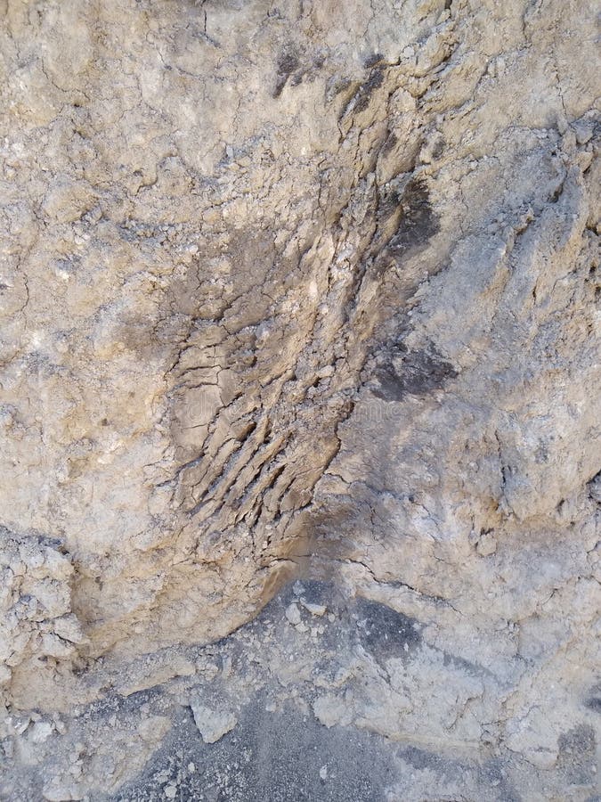 Disturbed Ground. Soil Texture Stock Photo - Image of brown, digging ...