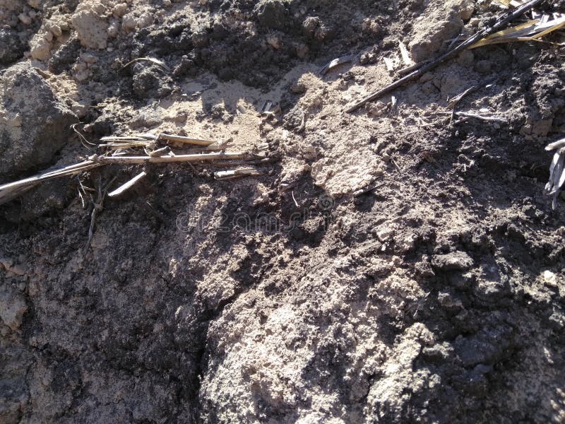Disturbed Ground. Soil Texture Stock Photo - Image of sand, grunge ...